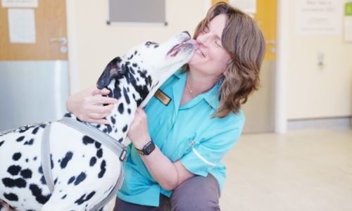 Who We Are | Manchester Vet Centre